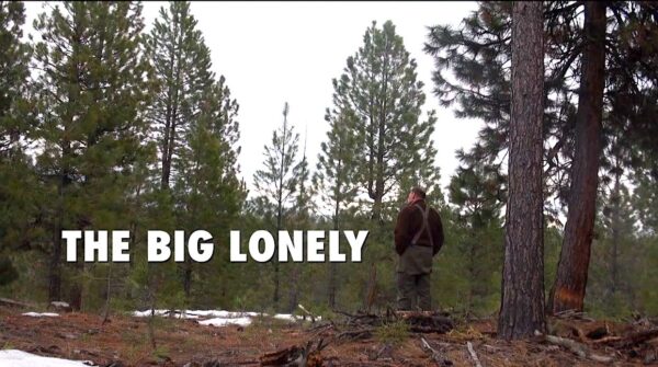 The Big Lonely – What Happened To Michael Nelms And Why His Story Still ...